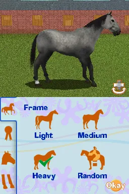 Riding Academy 2 (2008) - MobyGames