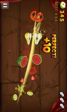 Fruit Slice (2010) - MobyGames