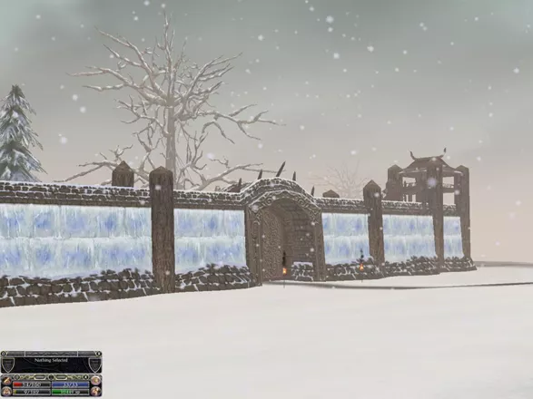 Shadowbane: Throne of Oblivion (2004) - MobyGames