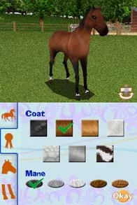 Riding Academy 2 (2008) - MobyGames