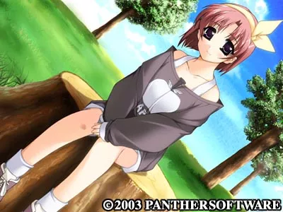 Aoi Namida (Shokaiban) (2004) - MobyGames