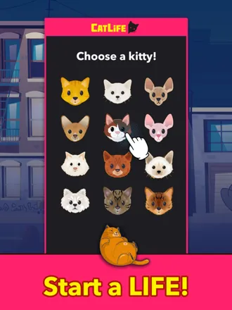 BitLife Cats: CatLife (2021) - MobyGames