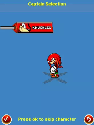 Sonic Cricket (2011) - MobyGames