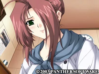 Aoi Namida (Shokaiban) (2004) - MobyGames