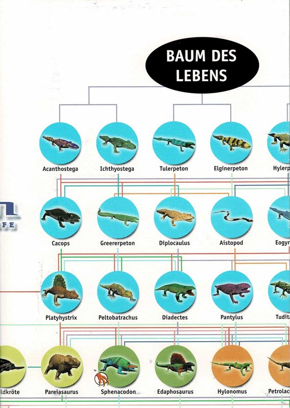 Evolution: The Game of Intelligent Life cover or packaging material ...
