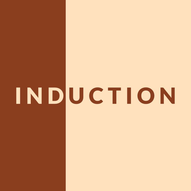 Induction cover or packaging material - MobyGames