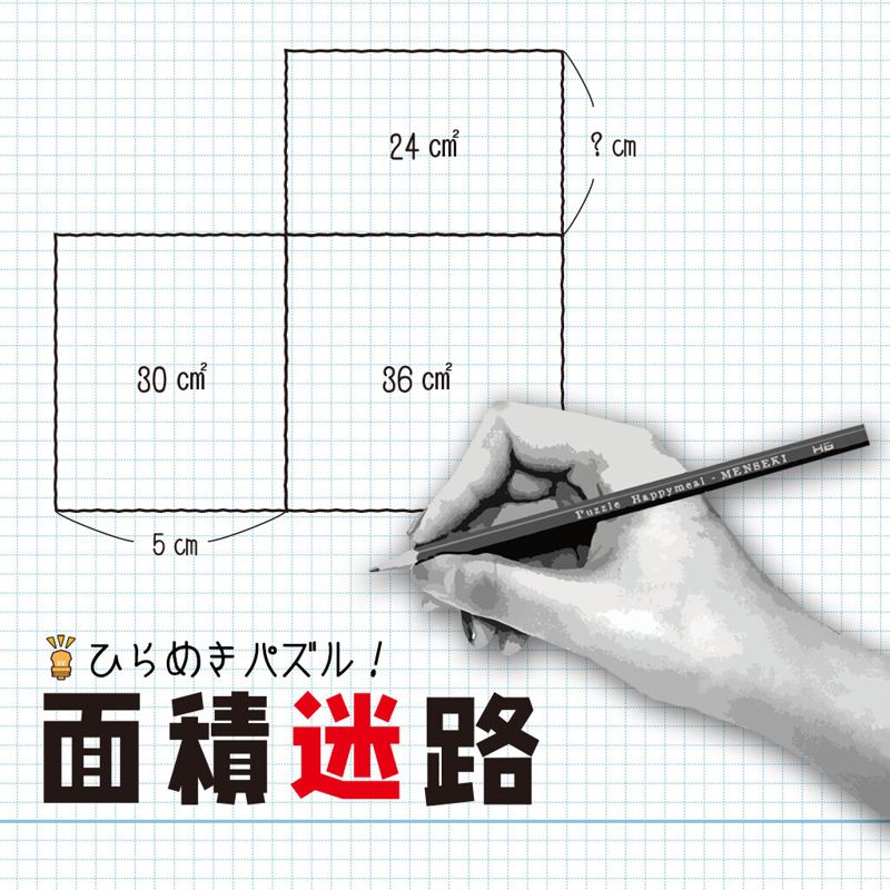Area Maze cover or packaging material - MobyGames