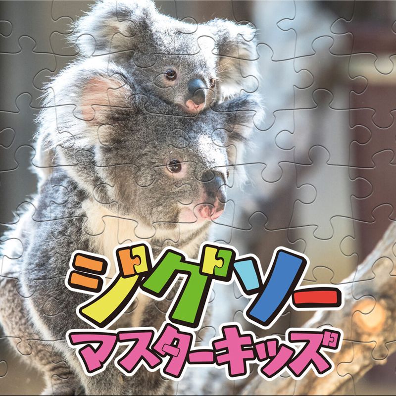 Jigsaw Master Kids cover or packaging material - MobyGames