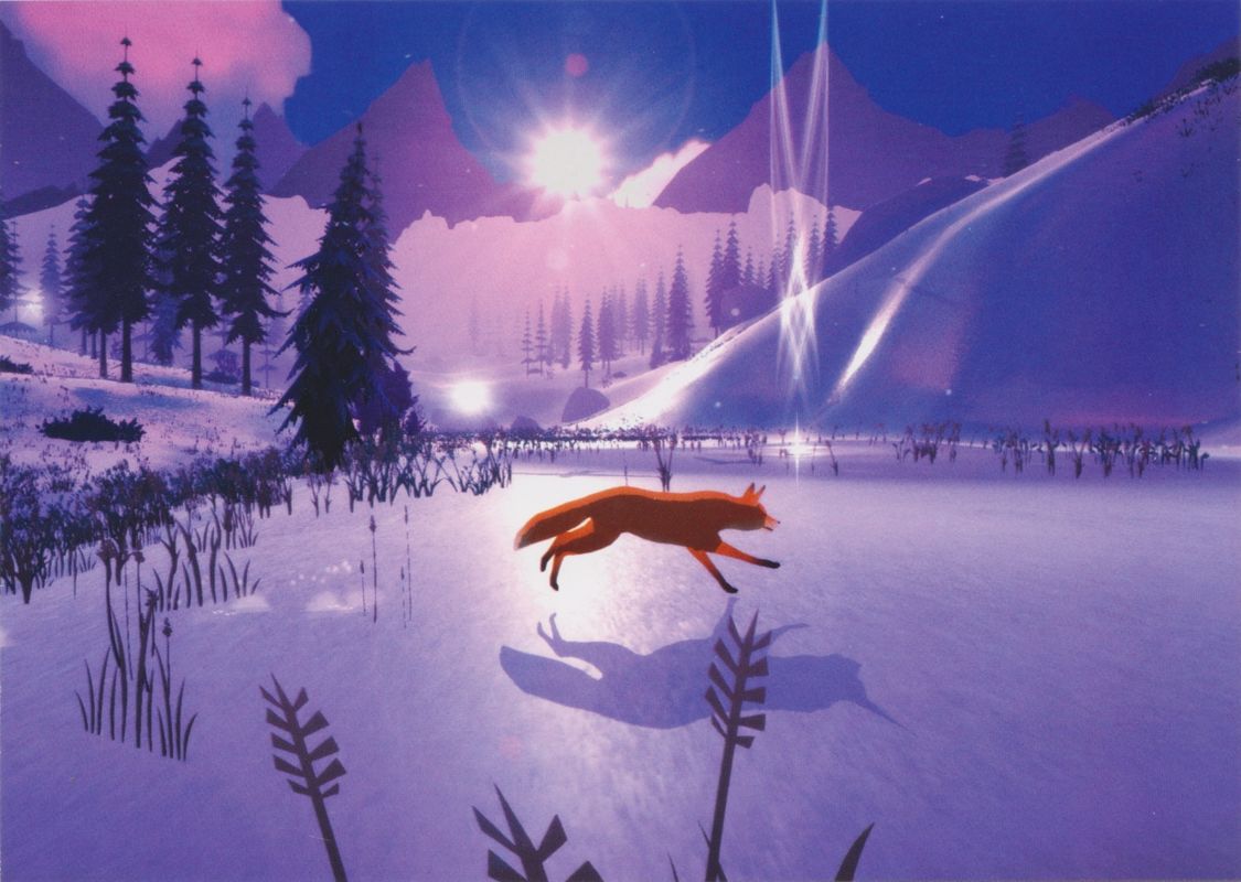 The First Tree (Special Limited Edition) cover or packaging material ...