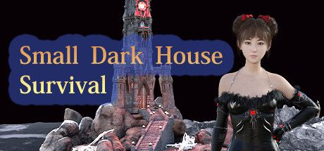 Small Dark House Survival cover or packaging material - MobyGames