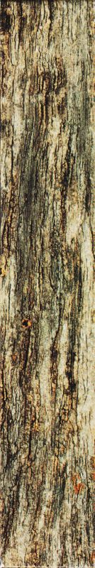 Outlaws cover or packaging material - MobyGames