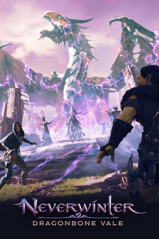 Neverwinter cover or packaging material - MobyGames