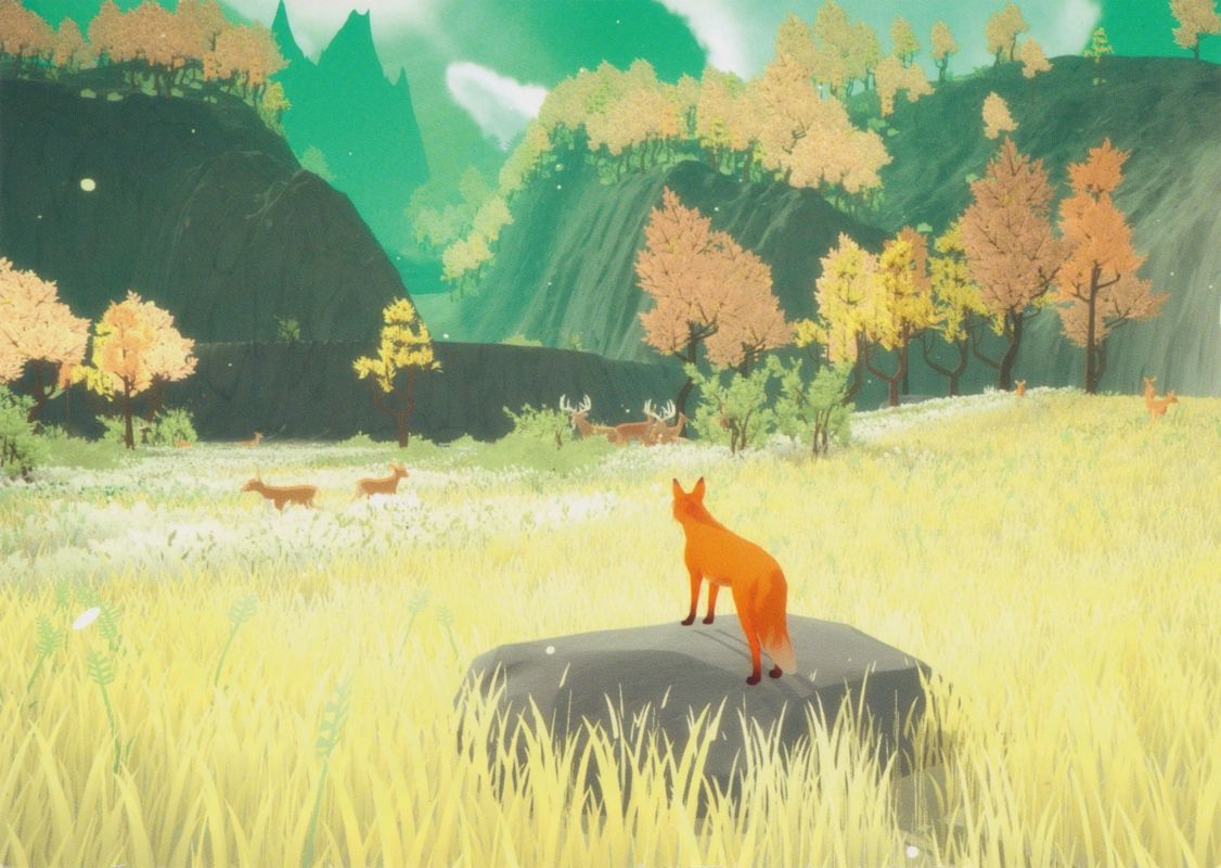 The First Tree (Special Limited Edition) cover or packaging material ...