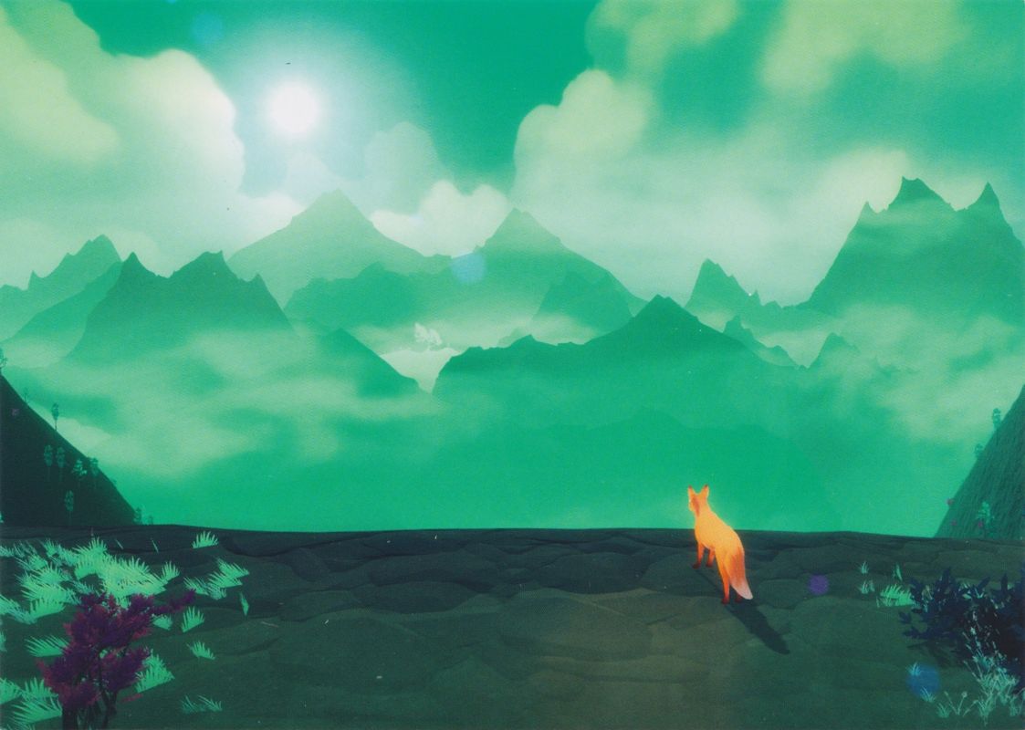 The First Tree (Special Limited Edition) cover or packaging material ...