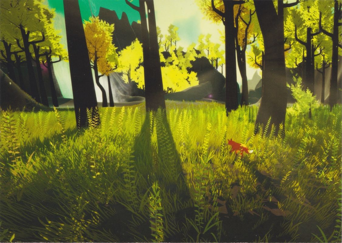 The First Tree (Special Limited Edition) cover or packaging material ...