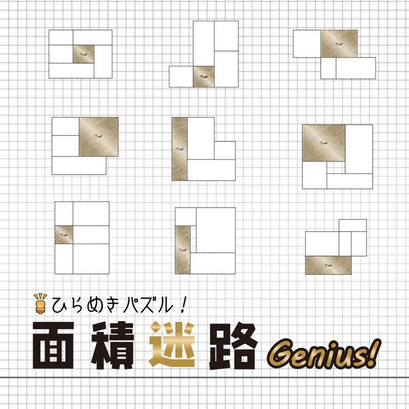 Menseki: Area Maze Puzzles - Genius! (2022) - MobyGames