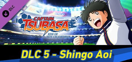 Captain Tsubasa: Rise of New Champions - Shingo Aoi box covers - MobyGames