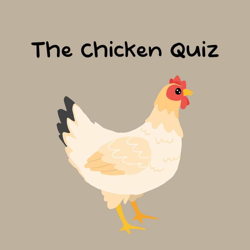 The Chicken Quiz (2022) - MobyGames