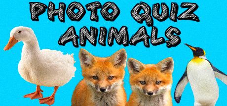 Photo Quiz: Animals (2019) - MobyGames