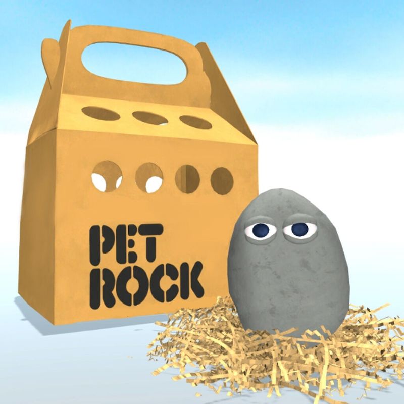 Pet Rock (2022) - MobyGames