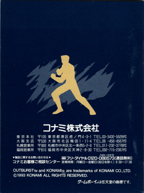 Raging Fighter cover or packaging material - MobyGames