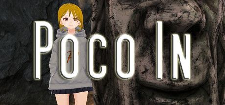 Poco In (2020) - MobyGames