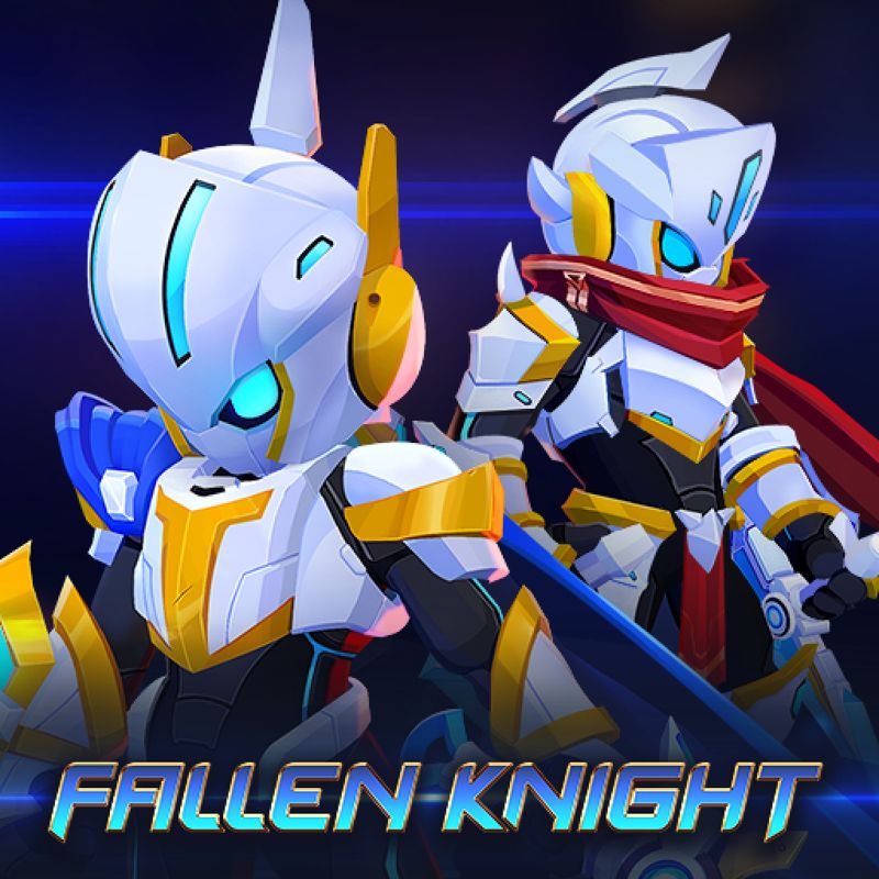 Fallen Knight cover or packaging material - MobyGames