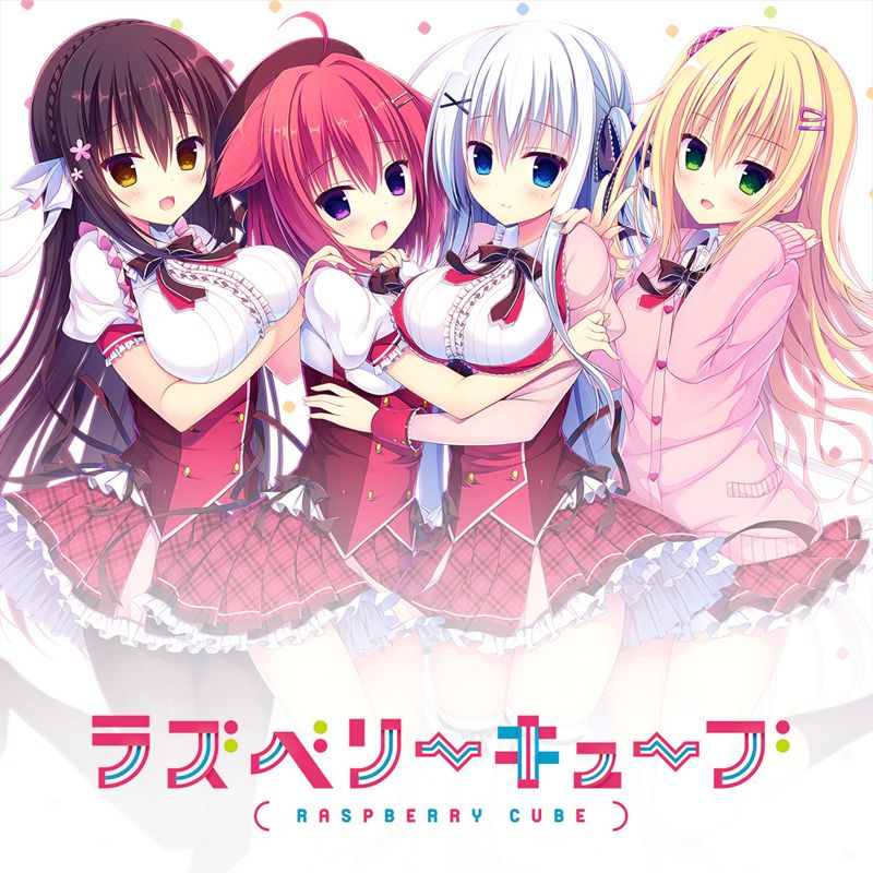 Raspberry Cube cover or packaging material - MobyGames