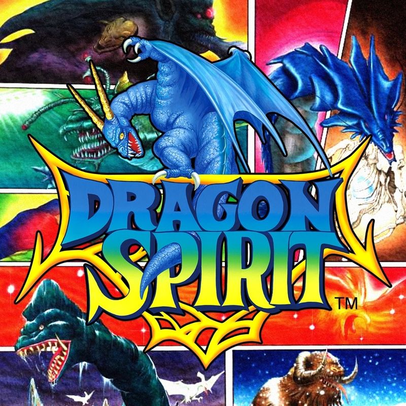 Dragon Spirit cover or packaging material - MobyGames
