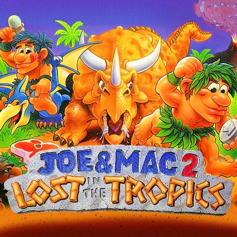 Joe & Mac 2: Lost in the Tropics cover or packaging material - MobyGames