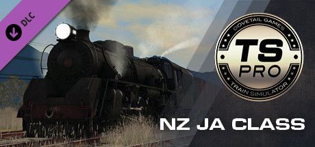 Buy TS Pro: NZ Ja Class - MobyGames