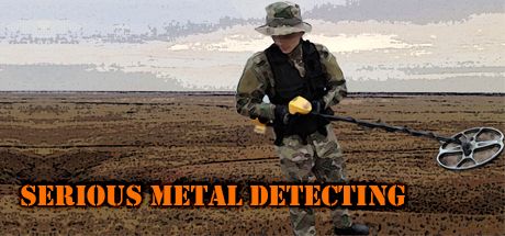 Serious Metal Detecting (2017) - MobyGames