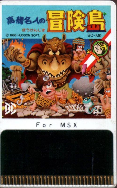 Adventure Island cover or packaging material - MobyGames