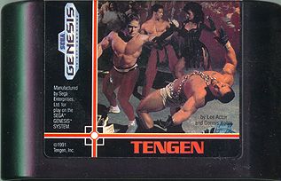 Pit-Fighter cover or packaging material - MobyGames