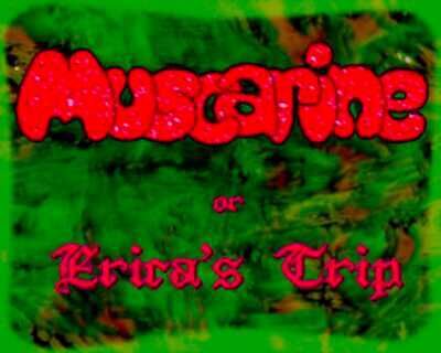 Muscarine, or: Erica's Trip (1999) - MobyGames