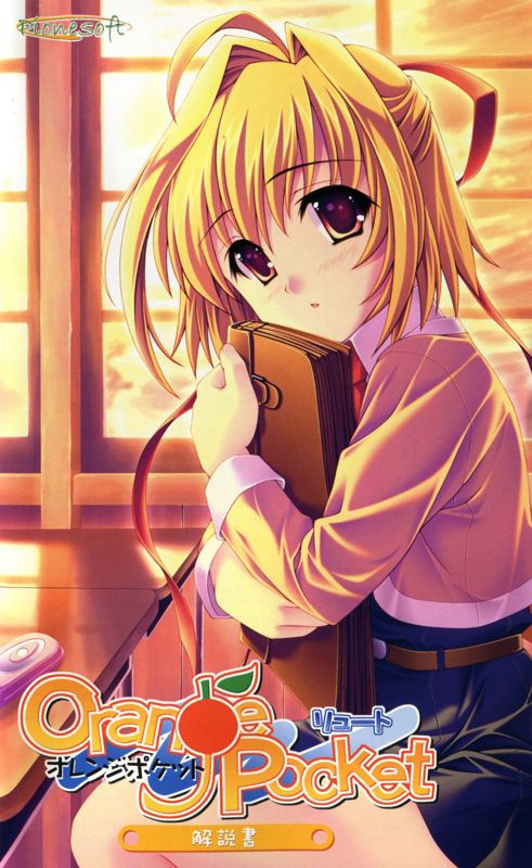 Orange Pocket: Lute cover or packaging material - MobyGames