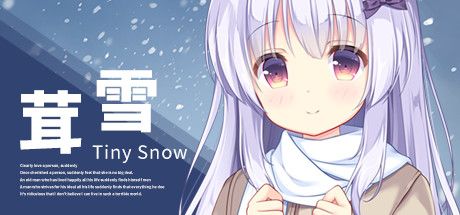 Tiny Snow (2019) - MobyGames