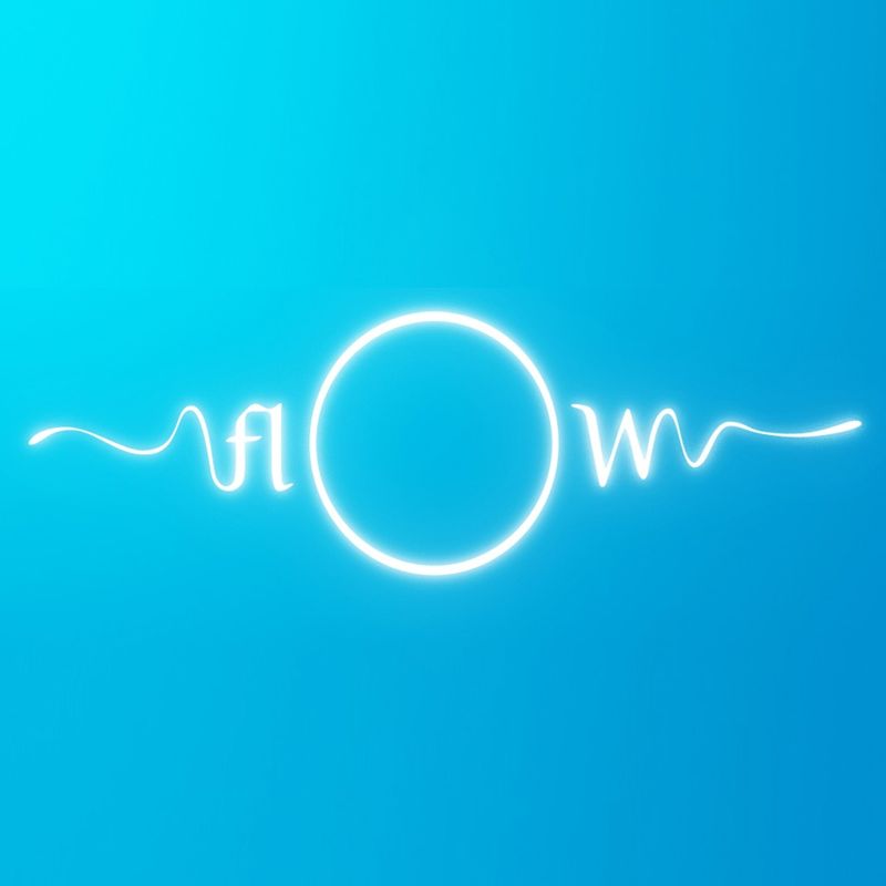 flOw cover or packaging material - MobyGames