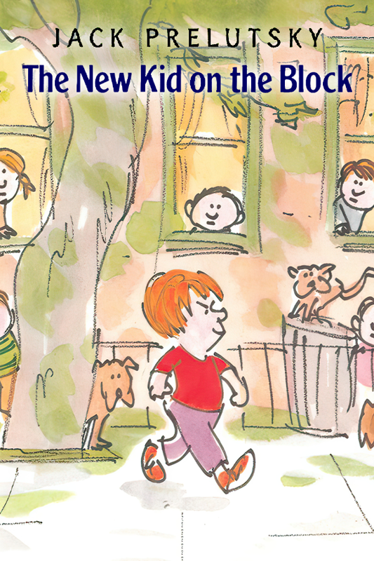 The New Kid on the Block cover or packaging material - MobyGames