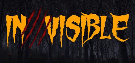Invisible (2021) - MobyGames