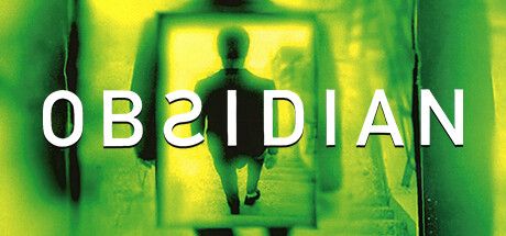 Obsidian cover or packaging material - MobyGames