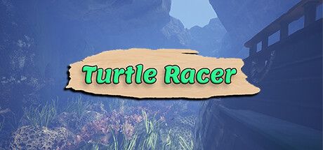 Turtle Racer (2023) - MobyGames