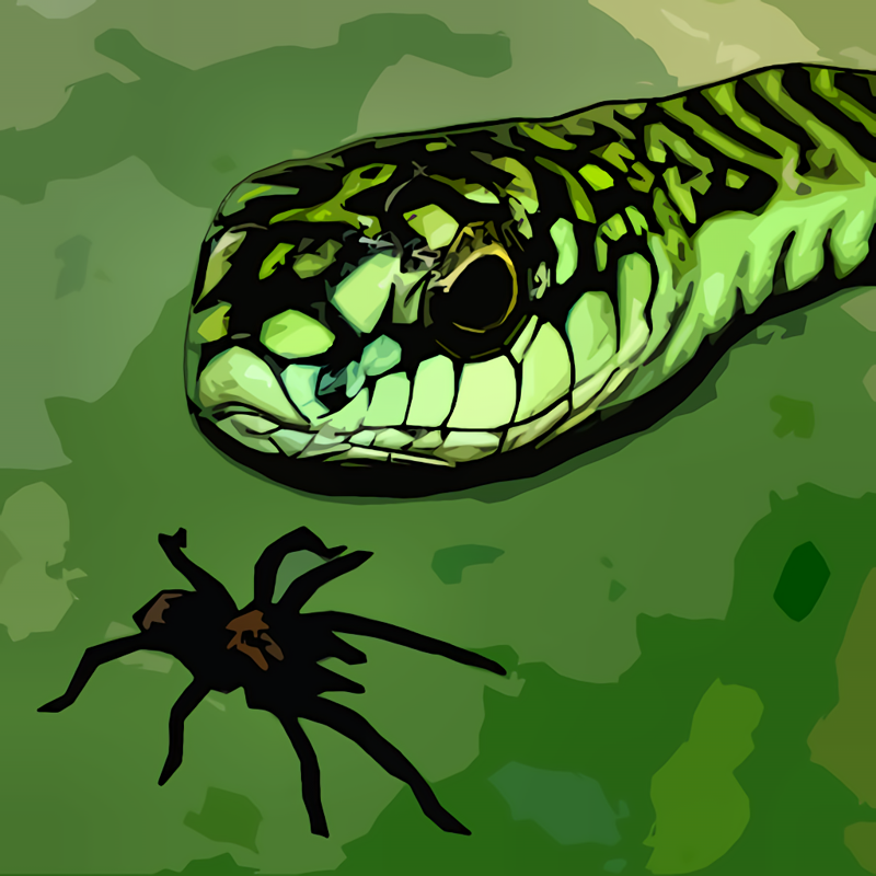 Tarantula vs Snake (2011) - MobyGames