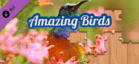 House of Jigsaw: Amazing Birds (2024) - MobyGames