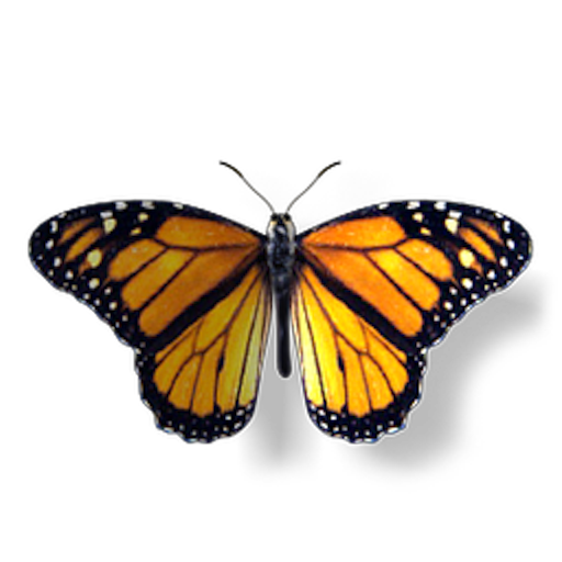 Monarch: The Butterfly King - MobyGames