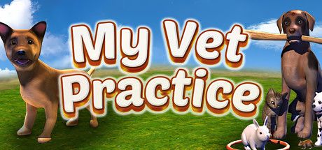 My Vet Practice (2017) - MobyGames