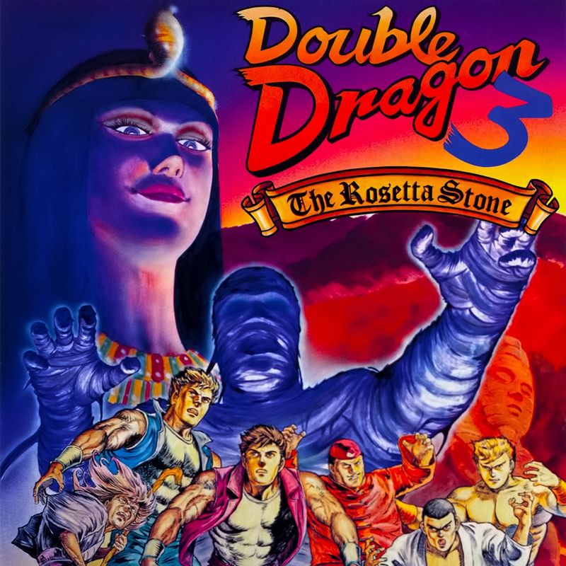 Double Dragon 3: The Rosetta Stone cover or packaging material - MobyGames