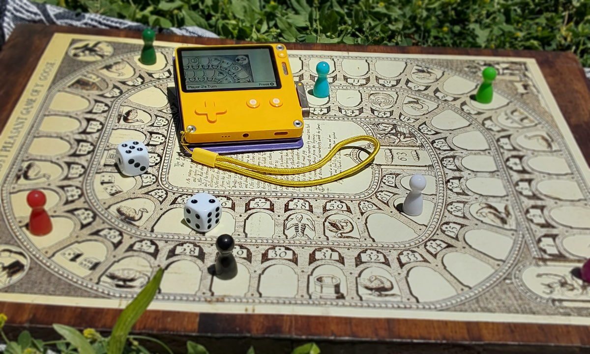 Game of the Goose (2024) - MobyGames