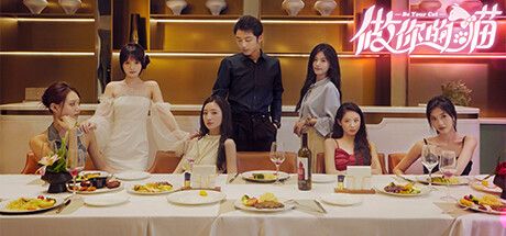 Be Your Cat (2024) - MobyGames