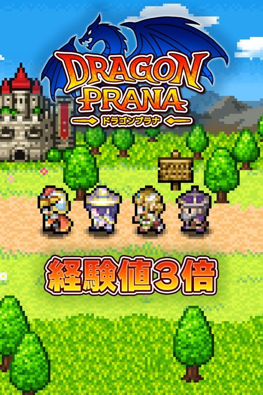 Dragon Prana: Experience x3 box covers - MobyGames